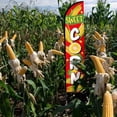 2 Pack Sweet Corn Feather Flags Sweet Corn for Sale Signs 2. 5 x 12 ft ...