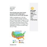 Burpee Luffa Gourd Vegetable Seed - Walmart.com