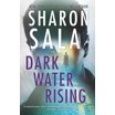 Dark Water Rising - Walmart.com