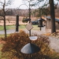 Backyard Expressions Heavy Duty Bird Feeding Station Kit w/Squirrel ...