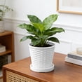 Imitation Bamboos Woven Texture Round Plastic Flower Pot for Green ...