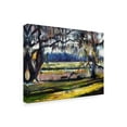 Lowcountry Spanish Moss Escape' Canvas Art by Lucy P. Mctier - Walmart.com