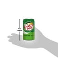 Canada Dry Ginger Ale Mini Soda Cans, 7.5 oz, Bulk Pack, 24 Count ...