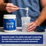 Orgain Creatine Monohydrate Micronized Powder, Unflavored, 100 servings ...
