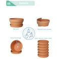 3.7 Inch Terracotta Shallow Succulent Pot - 6 Pack Terra Cotta Clay ...