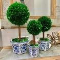 Preserved Boxwood Topiary Tree in Blue White Ceramic - Plant Table ...
