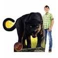 Advance Graphics Life-Size Bagheera The Jungle Book Cardboard Cutout ...