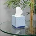 Cube Box 2-Ply Facial Tissue (85 Sheets per Box, 36 Boxes per Case ...