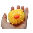 BULK SET OF 12 - (3") Cute Mini Animal Puffer Balls - Sensory Fidget ...