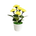 DZQMTKX Artificial Botanical for Desk, No Maintenance Faux Potted ...