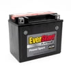 Free Shipping! EverStart AGM PowerSport Battery, 12BS Group Size, 12V ...