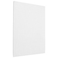 Graph Filler Paper 4x4 Ruled 2 Pack of 80 Sheets Each - Walmart.com