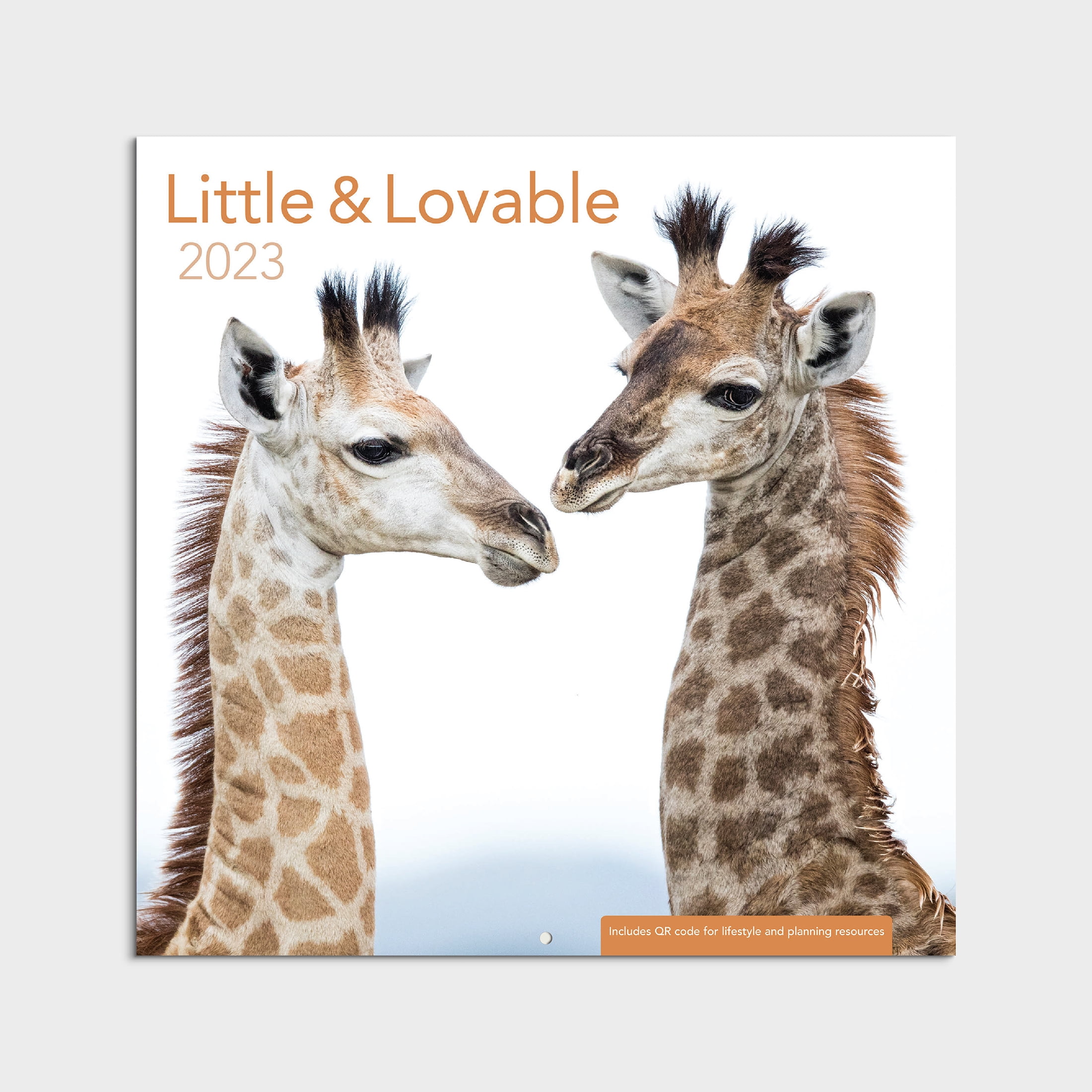 2023-12 Month Calendar-Little and Loveable baby animals 12x12 Hanging ...