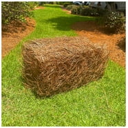 American Excelsior Premier Straw Erosion Control Lawn Cover, Ground ...