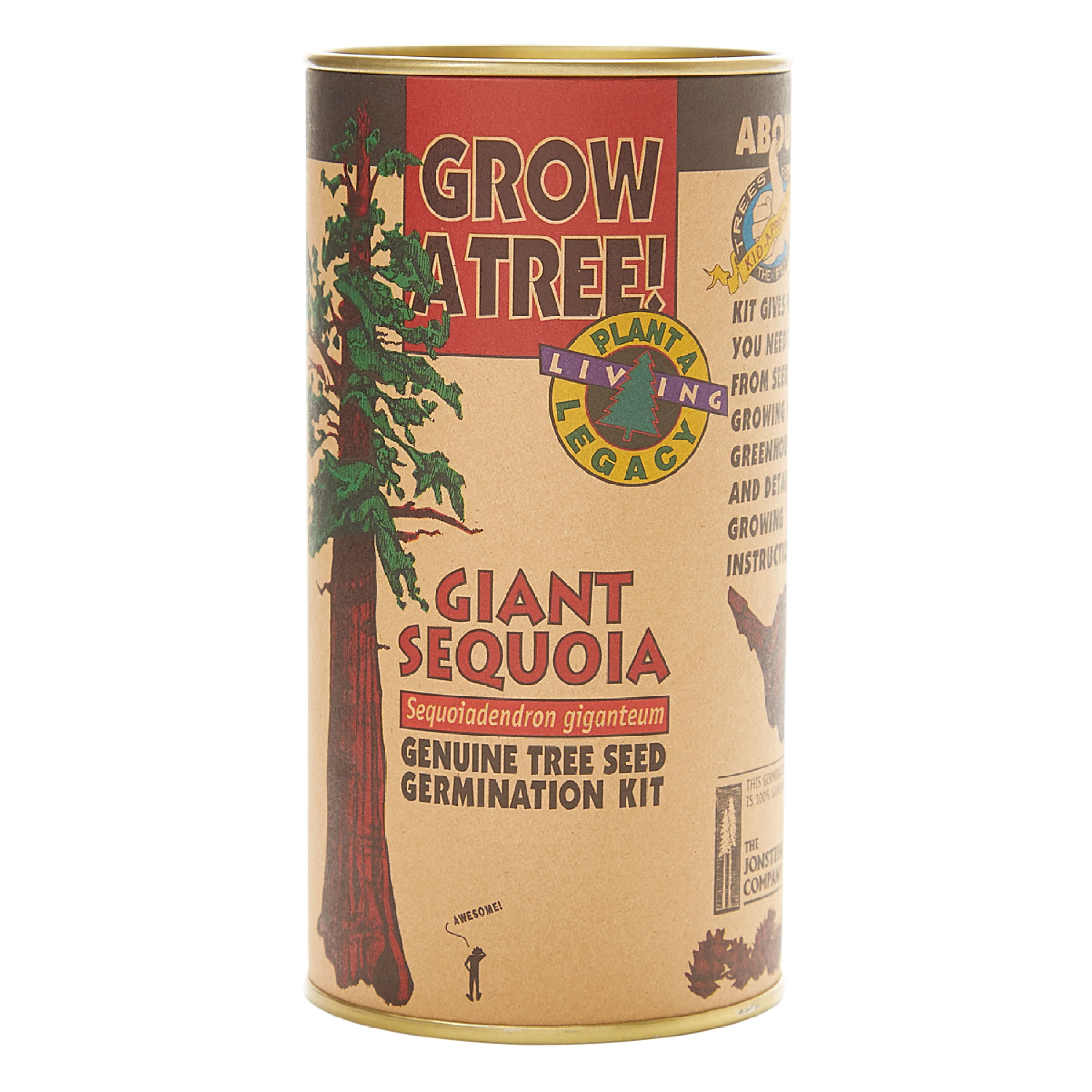 Giant Sequoia | Tree Seed Grow Kit | The Jonsteen Company - Walmart.com ...