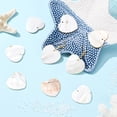1 Box 20Pcs Heart Shell Beads Flat Shell Bead 30Mm Natural Seashell ...