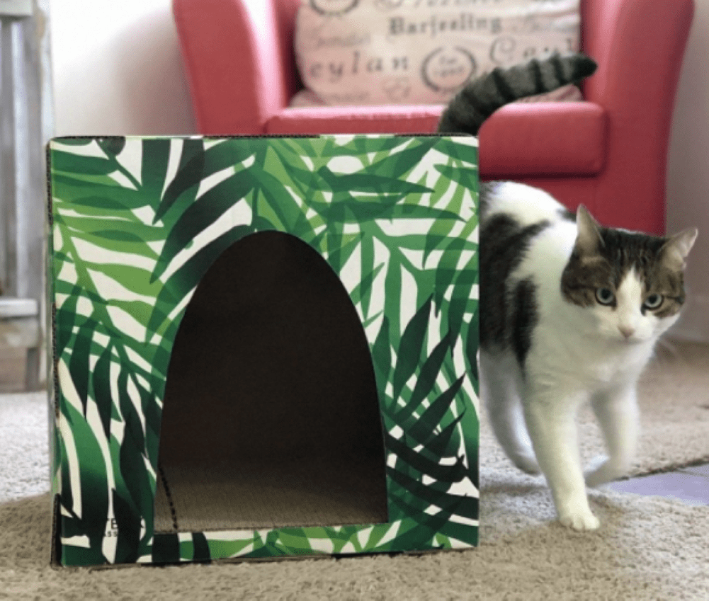Kitty Jungle Cardboard Cat House with Scratcher, Cat Condo, Cat ...