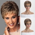 Short Synthetic Synthetic Wigs Hair Wigs for Women - Mixed Brown Color ...