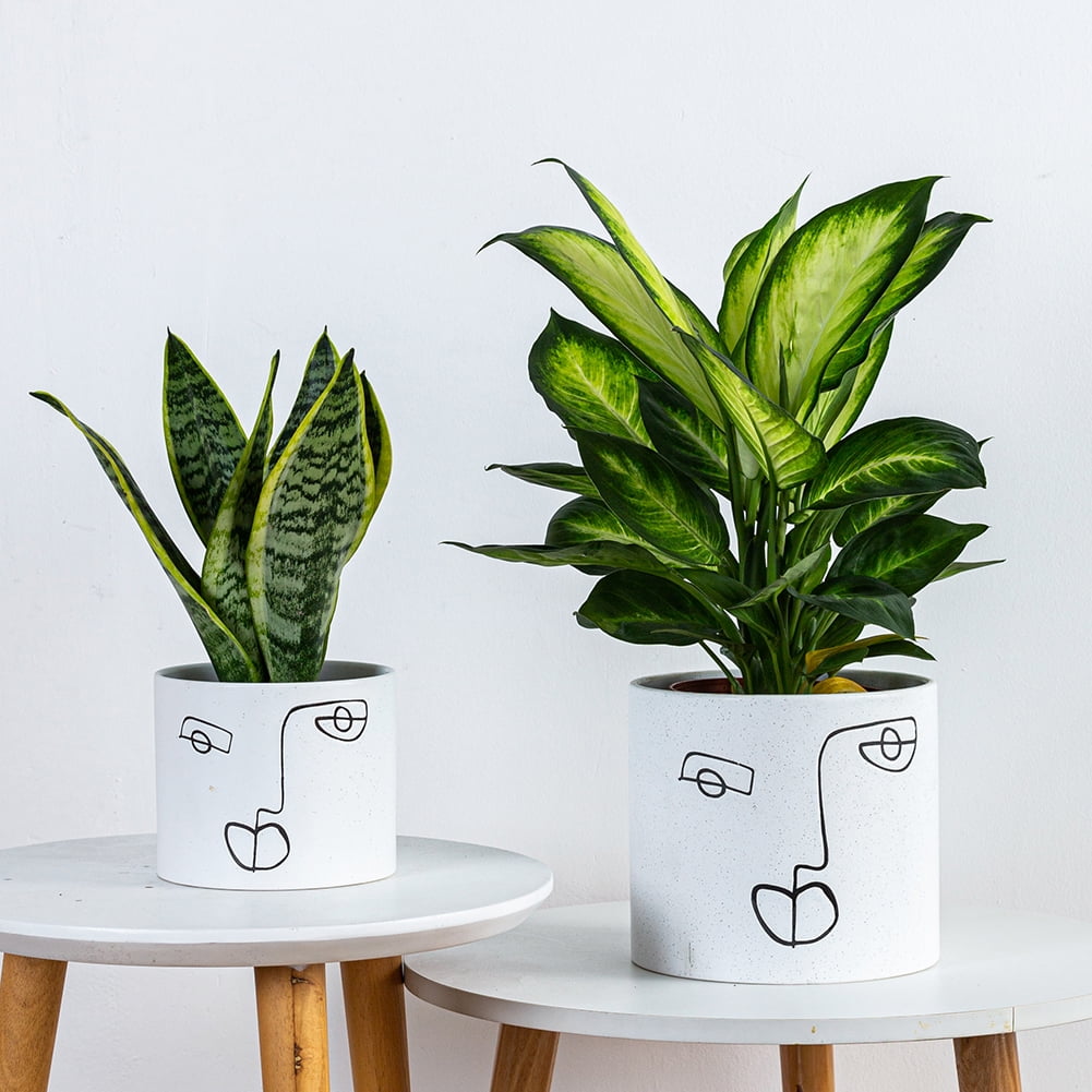 Kimisty Set 2 Ceramic Face Planters, 7 Inch & 6 Inch Modern Planter Pot ...