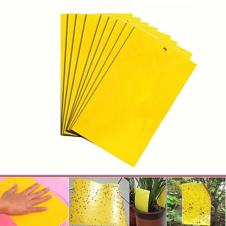 20 Yellow Sticker Fly Traps For Sticky Traps For White Flies, Aphids ...