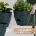 Self Watering Plant Pots with Drainage Holes and Saucers Indoor Outdoor ...