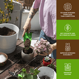 Big Foot Probiotic Root Boost Water Soluble Powder For Established ...