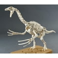 Bandai 2733993 Dinosaur Series Plannosaurus Therizinosaurus Snap Model ...
