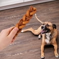 Ol' Roy Rawhide Free Braided Dog Chews with Bully Alternative, 9.17 oz ...