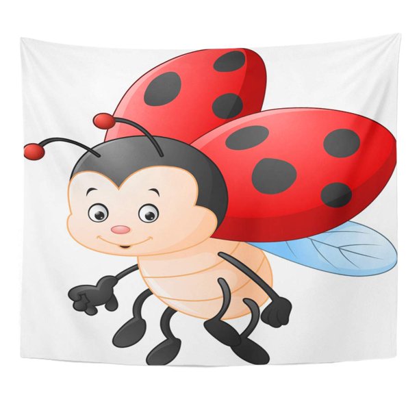 Cartoon Lady Bug Pictures