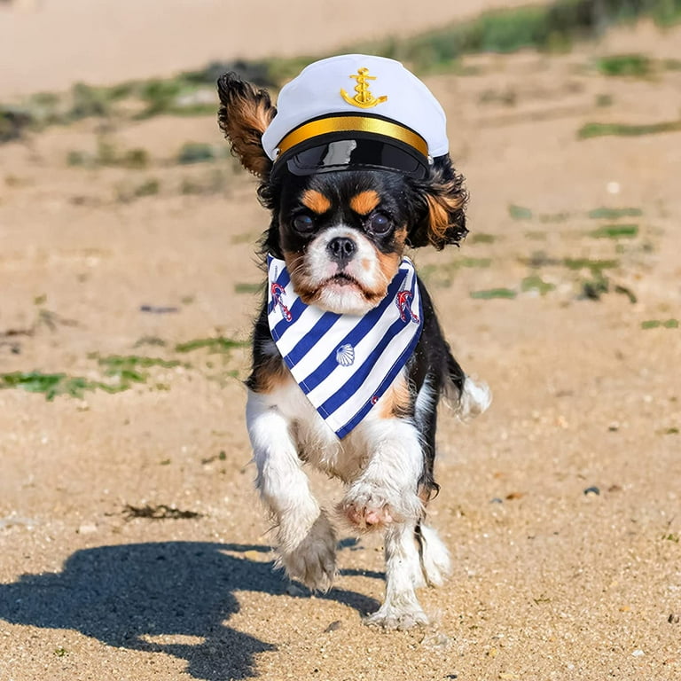 Captain Hat For Dogs
