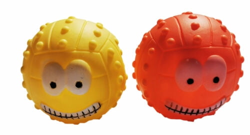 2 Pack Small Squeaky Dog Toys Bouncy Cartoon Face Interactive Fetch ...