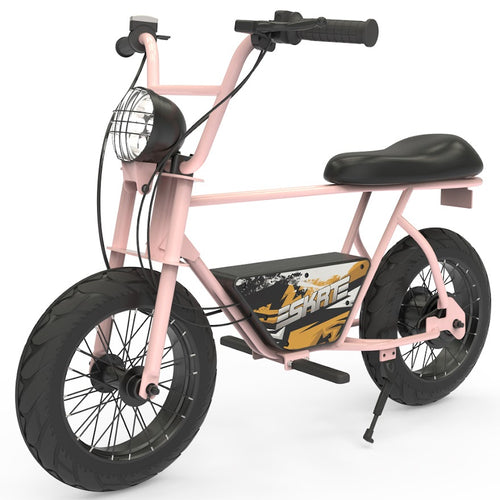 SKRT Electric Balance Bike Bicycle Scooter, 250W 24V Brushless Motor ...