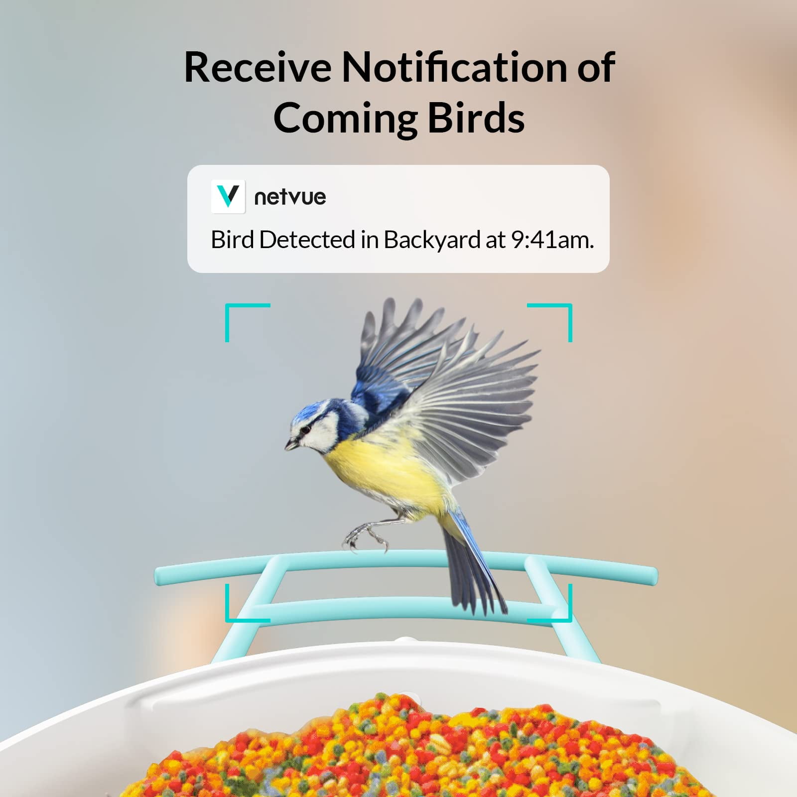 Buy Bird Feeder Camera Outdoor Netvue Birdfy Smart Bird Feeder for Bird Watching, Capture Images ...