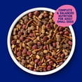 Kibbles ‘n Bits Mini Bits Small Breed Dry Dog Food Savory Beef ...