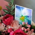 3drose, White Pansy Flower, Yellow Center, Macro Photo, 12 Greeting ...