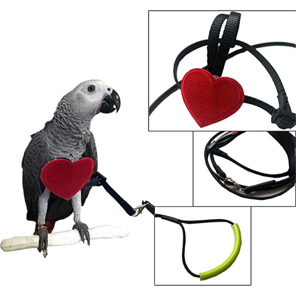 SUTENG Bird Harness Leash,Parrot Flying Leash Straps Wings Traction ...