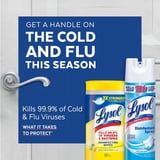 Lysol Professional IC Disinfectant Spray, 19oz with Control Flo Valve ...