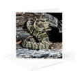 3drose, Arizona, Madera Canyon. Black Tailed Rattlesnake Coiled., 6 ...