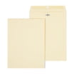 Staples Extra-Heavyweight Clasp & Moistenable Glue Catalog Envelopes 9 ...