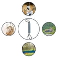Hanging Chair Spring Kit - 700lb Capacity - Stainless Steel Hammock ...
