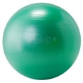 Free Shipping! Gymnic Plus Exercise Ball, 75cm - 26" Black - Walmart.com - Walmart.com