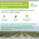 OLIVIE Organic Polyphenol Face Cream: Anti Aging, Dark Spot Diminisher ...