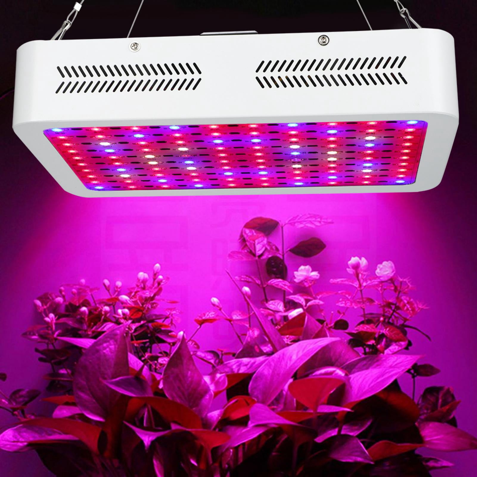 Luz LED para plantas, 1000 W, control único, luz LED para cultivo de ...