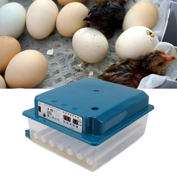 36 Eggs Incubator, Small Automatic Poultry Hatcher Household Egg Turner ...