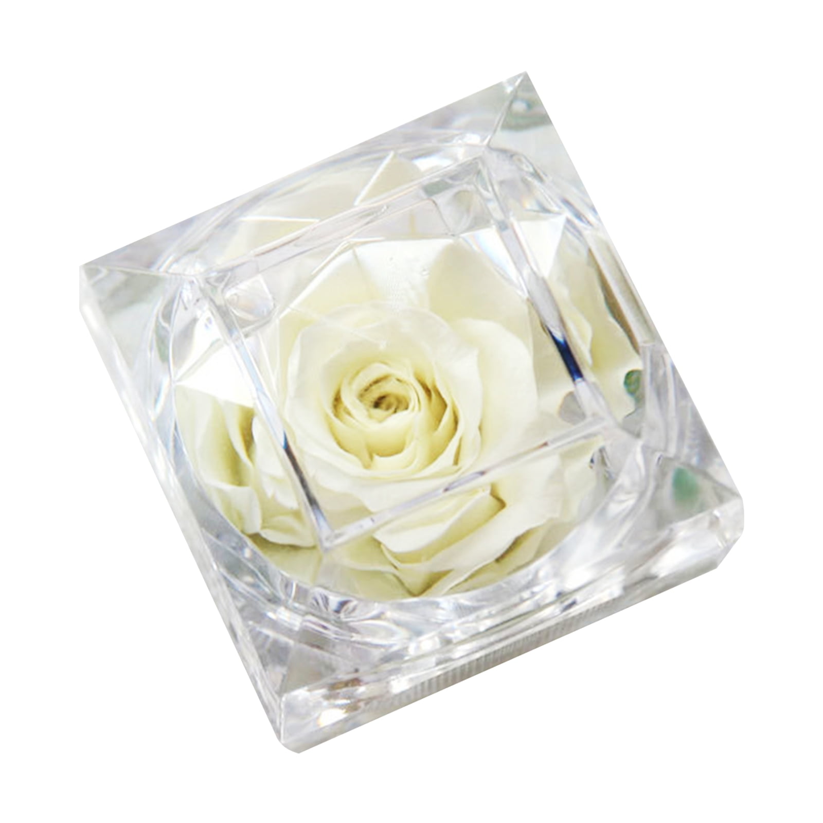 Click here for Amdohai Preserved Real Rose Flower In Clear Box Et... prices