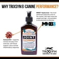 TRIXSYN Canine Performance Dog Hip and Joint Supplement with ...