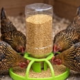 Automatic Poultry Water Dispenser, Spill Proof Chicken Quail Feeder ...