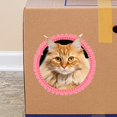3-Pack Cat Self Groomer for Cardboard Box, DIY Grooming Brush Ring for ...
