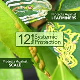 Bio Advanced 12-Month Tree and Shrub Protect and Feed II, Dual Action ...