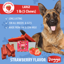Doggo Dog Chew Natural Strawberry Flavor Yak Chews for Dogs, Long ...